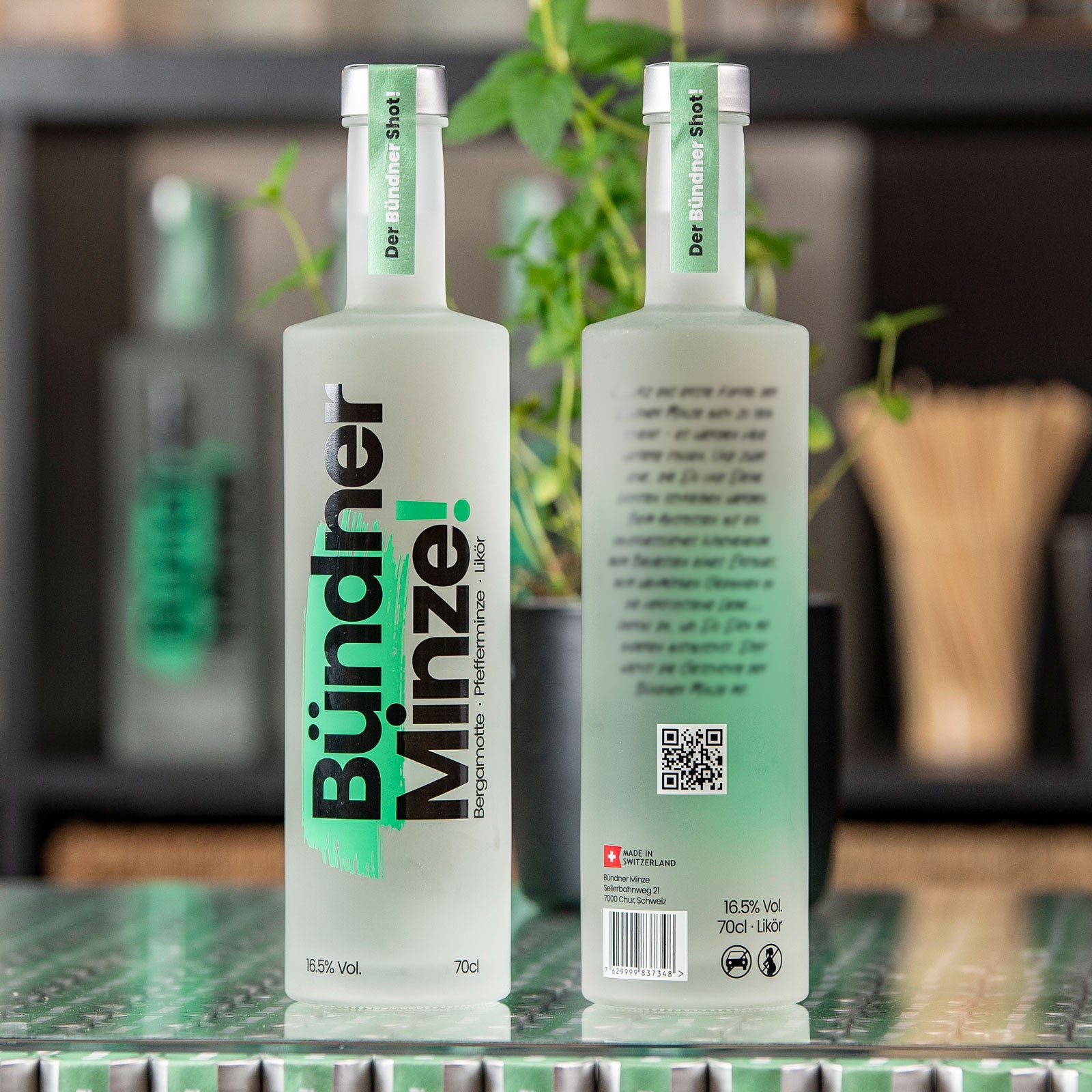 Bündner Minze